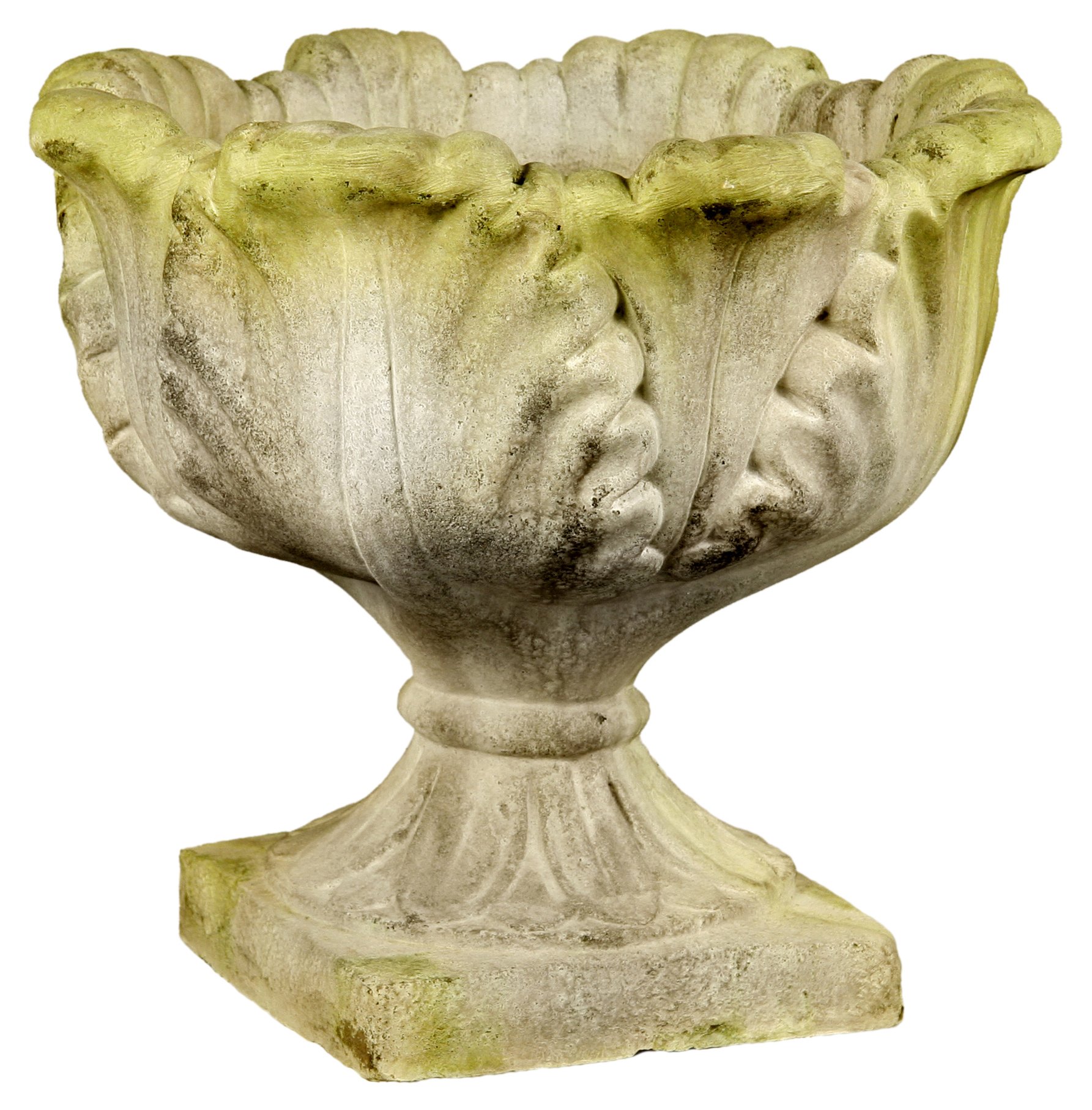 19" Acanthus Planter, White Moss | One Kings Lane