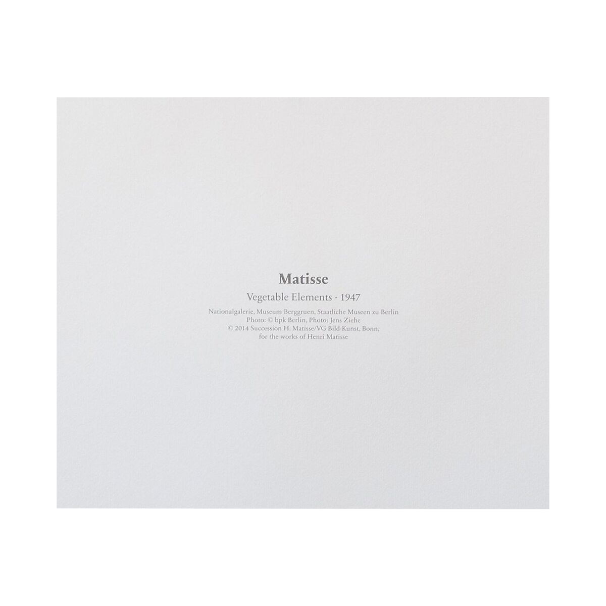 Vegetables By Matisse