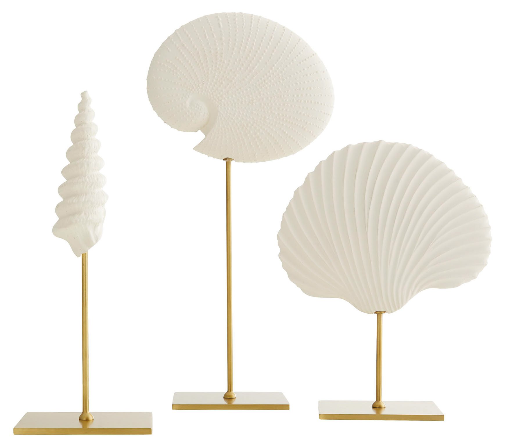 S/3 Shell Sculpture | One Kings Lane