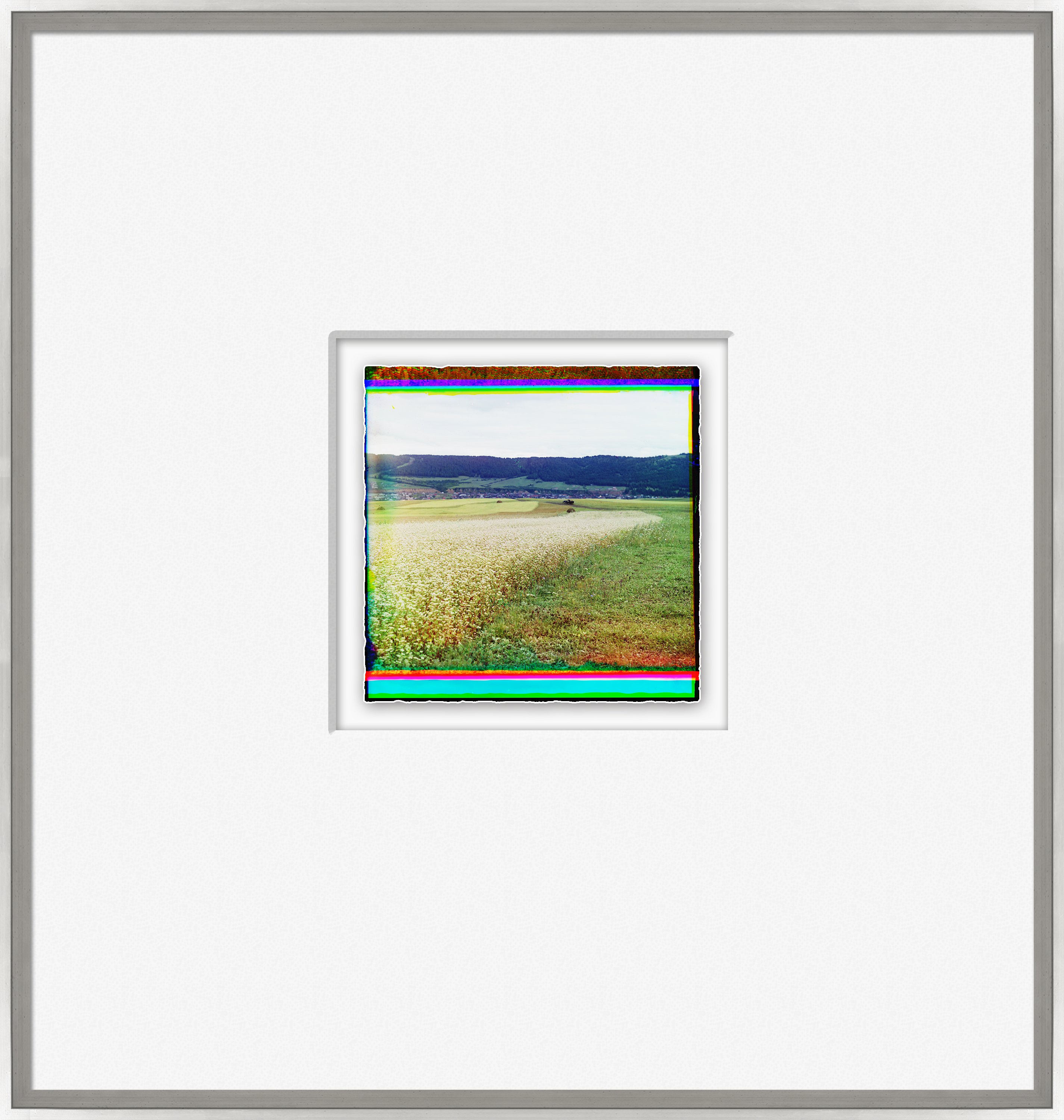 Solarized Color Photo III | One Kings Lane