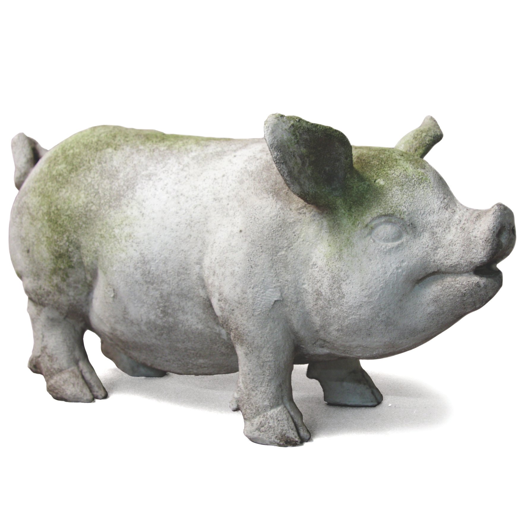 18" Pot Belly Pig, White Moss | One Kings Lane