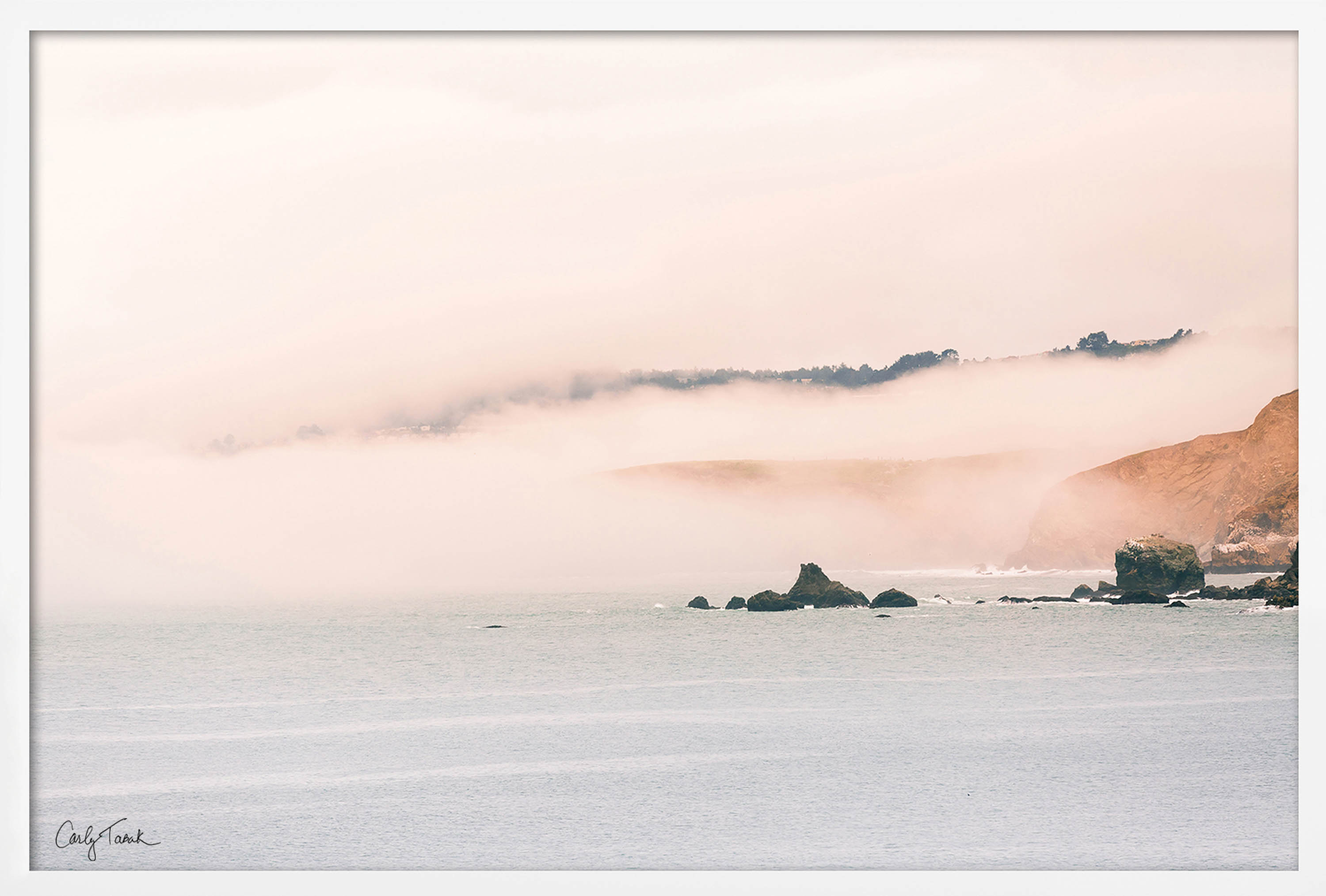 Carly Tabak, Mystify Me Pacifica | One Kings Lane